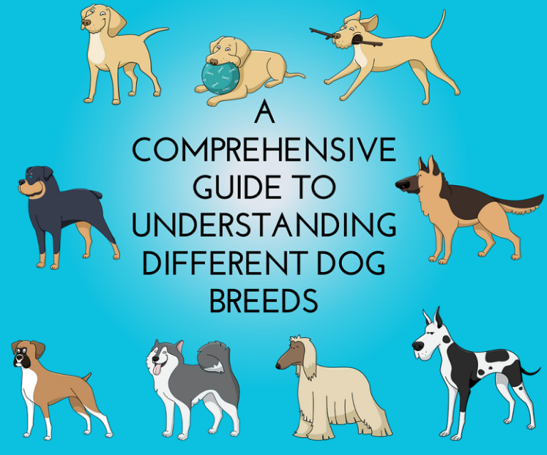 A Comprehensive Guide to Understanding Different Dog Breeds | Catalina ...
